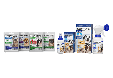 bconnect | Conexão com o conhecimento