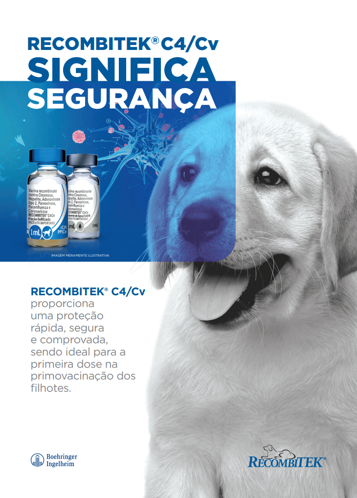 bconnect | Conexão com o conhecimento