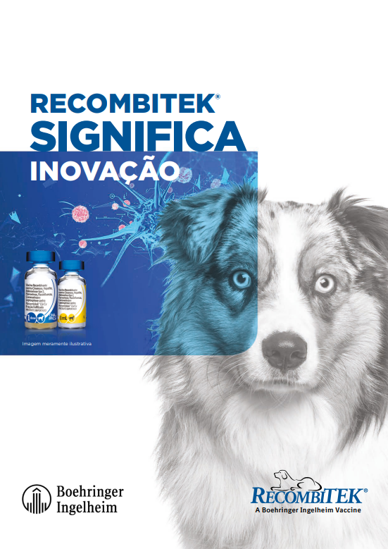bconnect | Conexão com o conhecimento